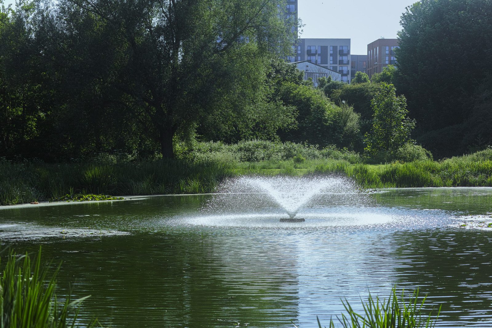 A VISIT TO THE TOLKA VALLEY PARK - 2023 PHOTONIQUE PHOTO BLOG